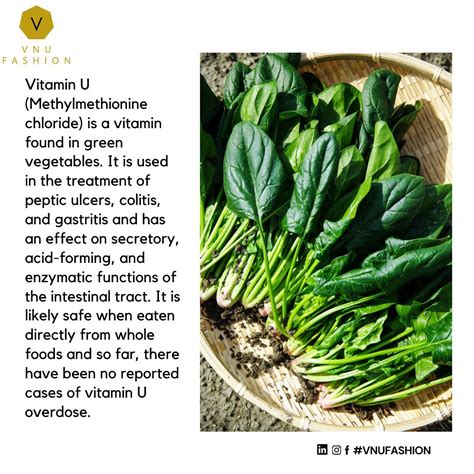 Vnu Fashion How Vitamin U Works In Your Body Vitamin U Facebook