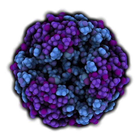 Application Note Development Of An Anti Drug Antibody Receptor Based