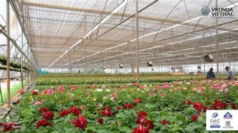 Hdpe White Nursery Shade Net For Agriculture 50 At ₹ 35 Square Meter