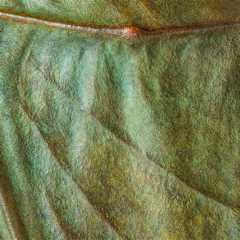Bronze Dragon Sculpture Firedrake By Nick Bibby