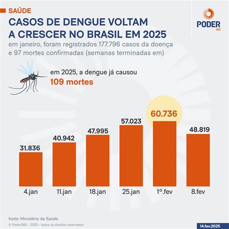 Casos De Dengue Voltam A Crescer Nas Primeiras Semanas De 2025