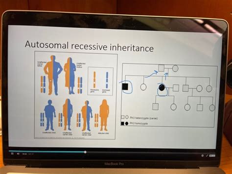 bio lec 19 genetic inheritance patterns flashcards quizlet