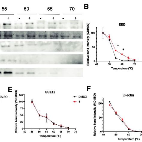 Compound 1 Selectively Binds Eed Thereby Disrupting The Eed Ezh2