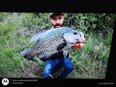 The Biggest Crappie Ever Caught On Video