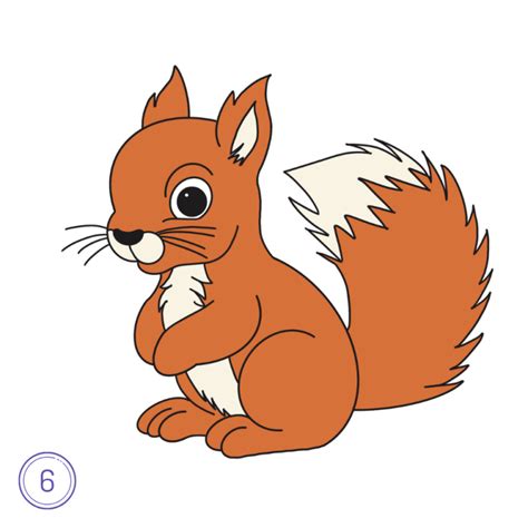 How To Draw A Squirrel A Step By Step How To Mimi Panda