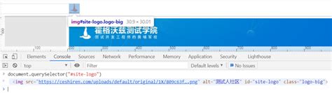 技术分享 Web自动化测试 执行 Javascript 脚本js Execute Javascript Csdn博客