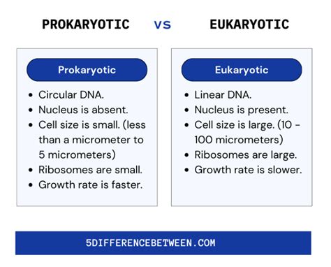 Difference Between Prokaryotic And Eukaryotic