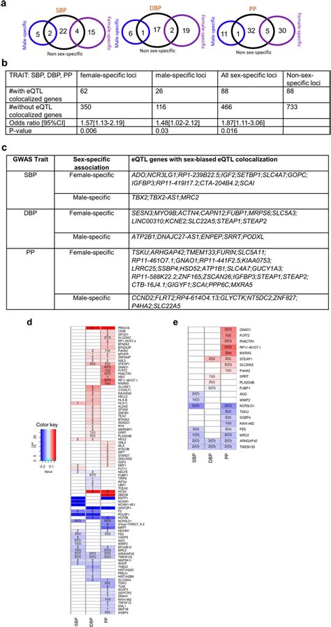 Sex Specific Genetic Architecture Of Blood Pressure Pmc Sex Specific Genetic Architecture Of Blood Pressure Pmc