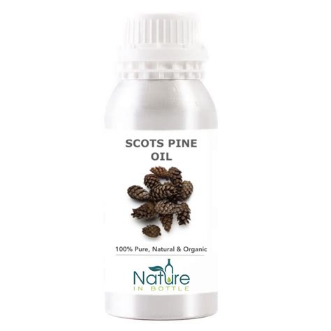 Scots Pine Essential Oil Organic Scotch Pinus Sylvestris