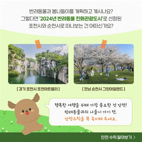 반려동물과 여행할 때 꼭 확인하세요 전체 카드한컷 멀티미디어 대한민국 정책브리핑