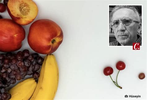 Psicanálise Das Frutas Ambiente De Leitura Carlos Romero