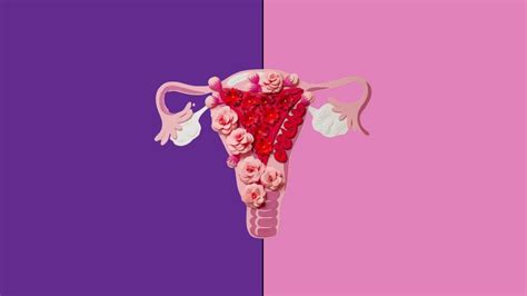 How To Measure Your Cervix At Home R Badwomensanatomy