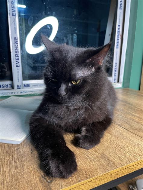 💻 Mohammed Kaish Ansari On Linkedin Billu Linux Linuxcommands