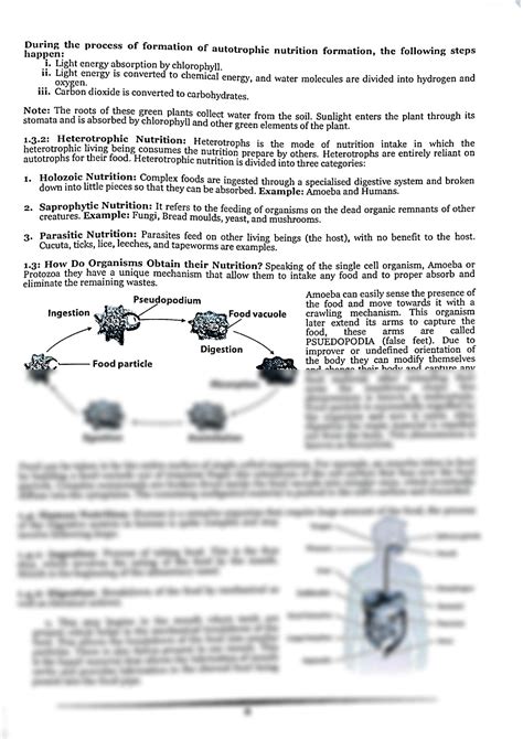Solution Class 10th Science Biology Ch 1 Life Process Studypool