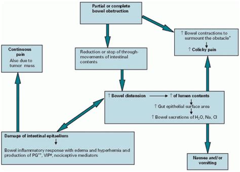 Bowel Obstruction Oncohema Key