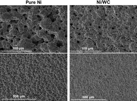 Each Column Corresponds To A Pair Of Sem Images Secondary Electrons Download Scientific