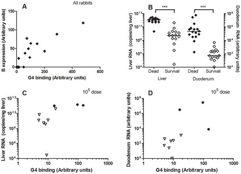 Rhdv Challenge Of Ab And A−b− Rabbits 31 Rabbits Were Infected With