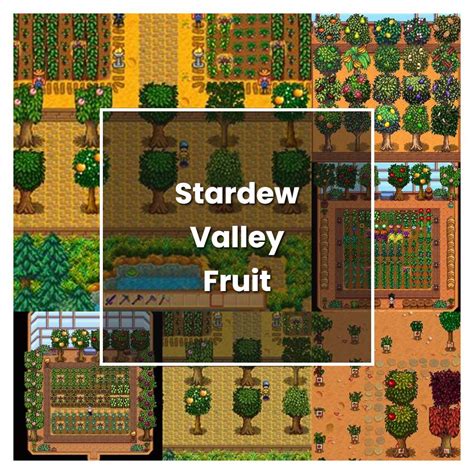 fruit tree seeds stardew valley at roscoe ramirez blog