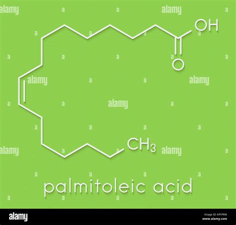 Is Palmitoleic Acid Saturated Or Unsaturated At Carroll Zabala Blog