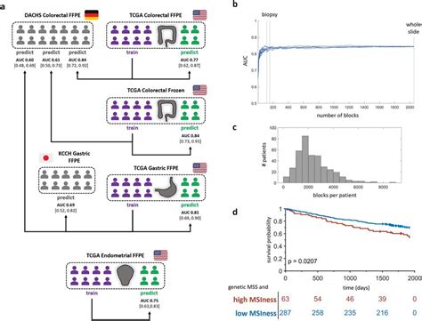 Additional Data For Classifier Performance A Flowchart Of All
