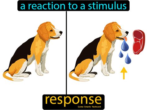 Stimulus Science Examples