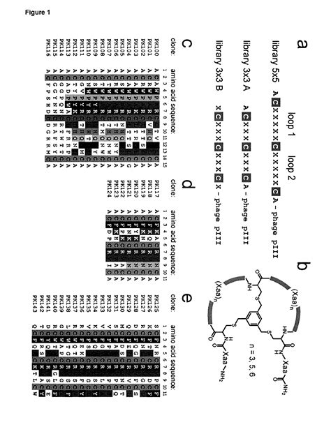Modulation Of Structured Polypeptide Specificity Eureka Patsnap