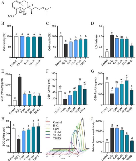 The Antioxidative Effects Of Aphd On H2o2 Induced Pc12 Cells The