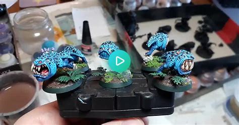 Blue Poison Dart Squigs Album On Imgur