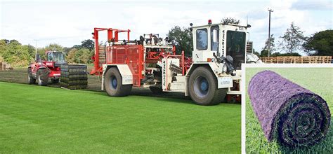 Turf Growing Maxstim