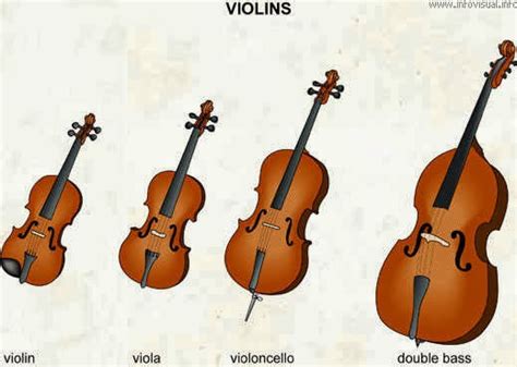 Click On TYPES OF INSTRUMENTS STRINGS