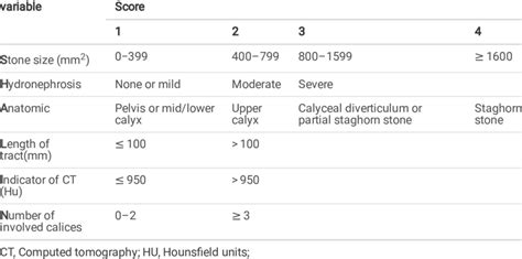 Summary Of Shalin Stone Score Download Scientific Diagram
