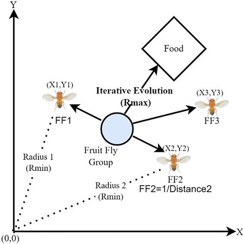 Food Searching Behaviour Of Fruit Fly Download Scientific Diagram