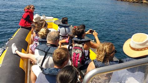 Boat Ride Experience Sport