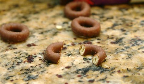 Booturtles Show And Tell The Wizarding Week Of Harry Potter