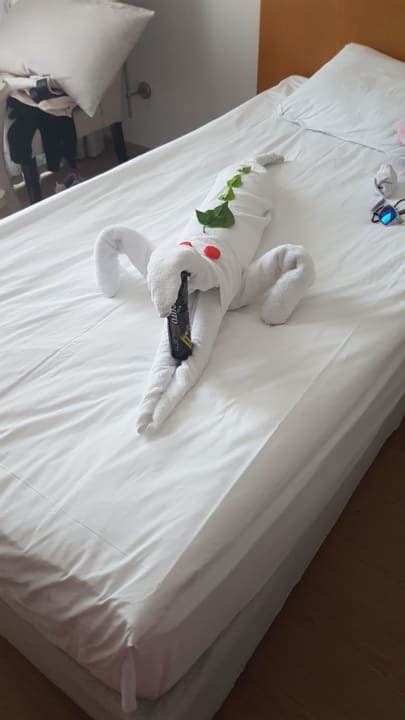 Krokodil auf Bett Sentido Lycus Beach Okurcalar HolidayCheck Türkische Riviera Türkei