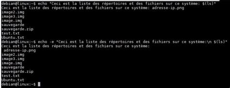 La Commande Echo Sur Linux Utilisations Et Exemples Malekal
