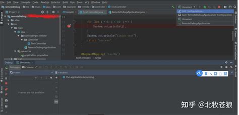 springboot项目idea远程服务器调试 知乎