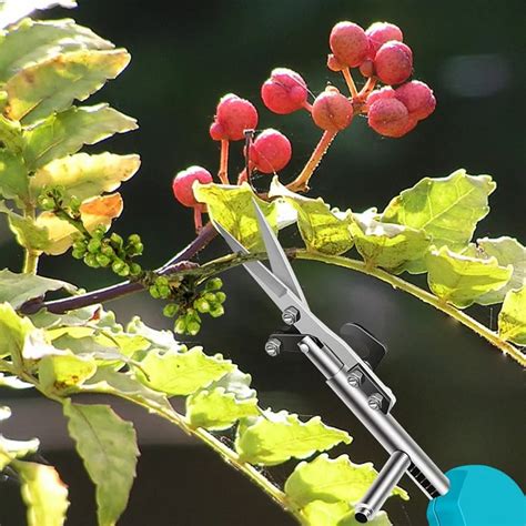 Precision Pruning Scissors Nextgengardening™