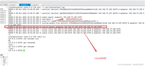 redis的主从复制，哨兵和cluster集群 redis replicas csdn博客