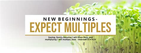 The Power Of Expectation Pastor Osato Noah Second Service 30