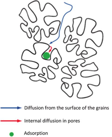 4 Different Stages Of Adsorption Adapted From Ref 10 Download