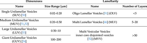 Size And Lamellarity Classification Of Liposomes Download Scientific