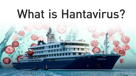Suspected Hantavirus Outbreak Reported On Cruise Ship After Three Deaths