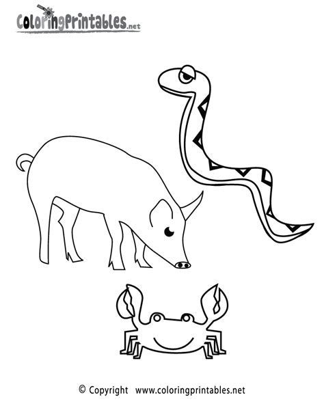 Review Of Biology Coloring Book Pdf Download Ideas Juga Tm