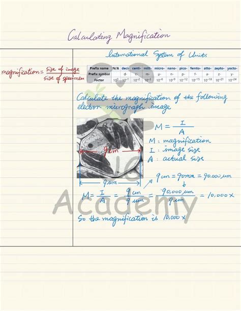 ib生物笔记：calculating magnification 显微镜放大倍数计算 知乎