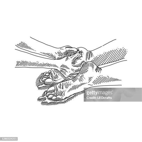 Holistic Health Drawing Photos And Premium High Res Pictures Getty Images