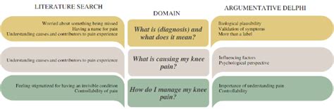merging themes from literature search and argumentative delphi into