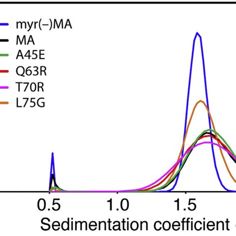 Sedimentation Velocity Data Sedimentation Coefficient Distributions