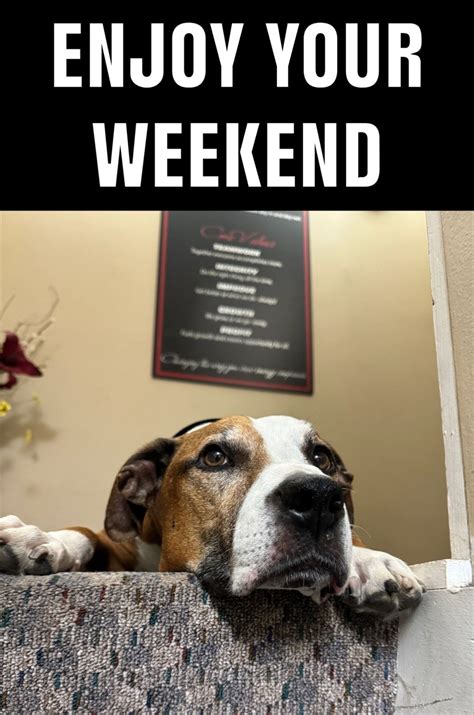 Ryan Mcdaniel Posted On Linkedin