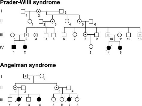 Prader Willi Syndrome Karyotype